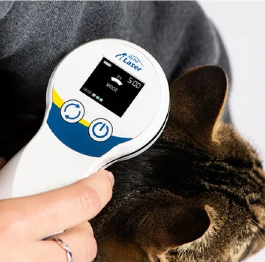 Multi Radiance Veterinary My Pet Laser 2.0: Veterinarian-Prescribed ...